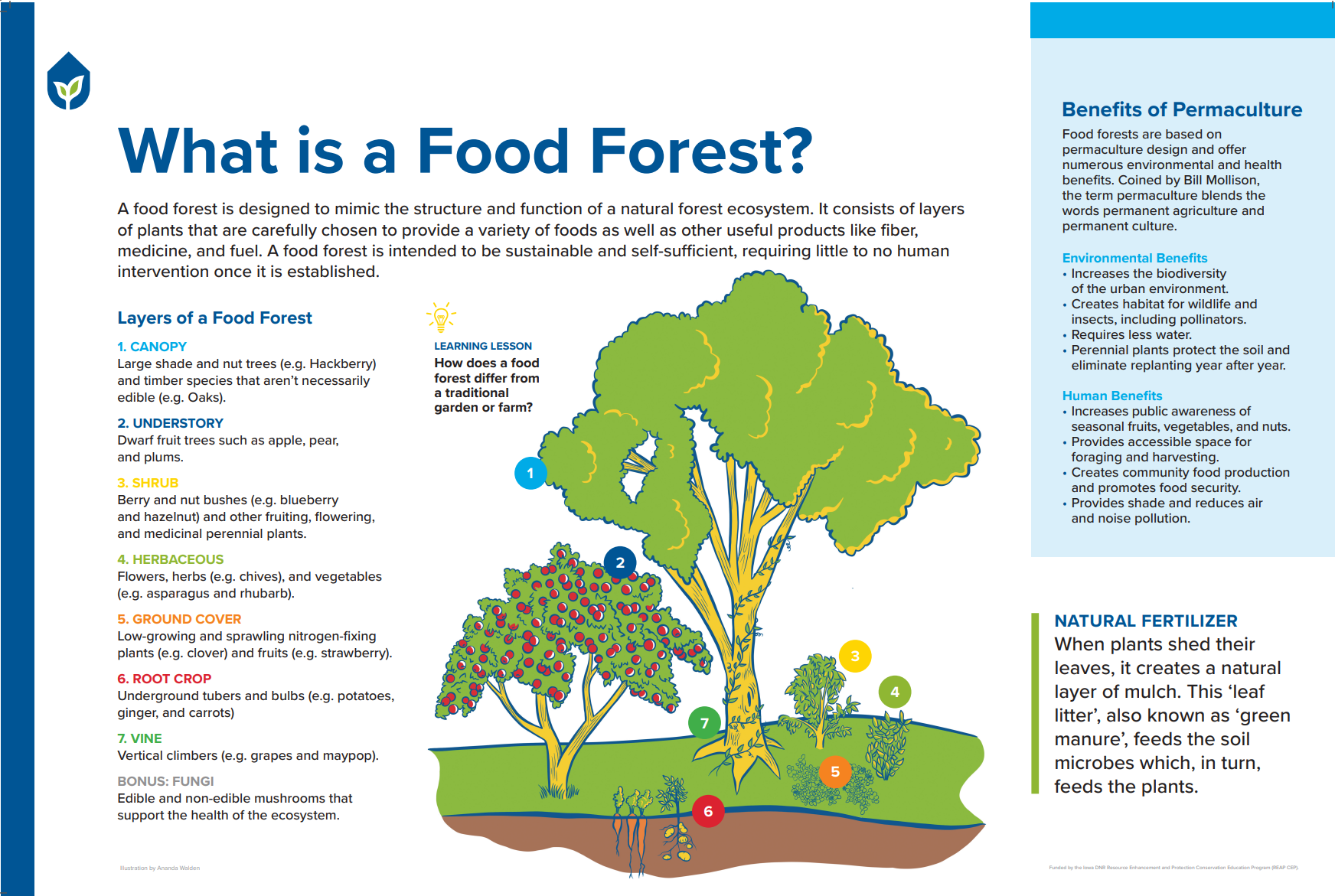 What is a Food Forest? – Sprout: The Des Moines Urban Youth Learning ...