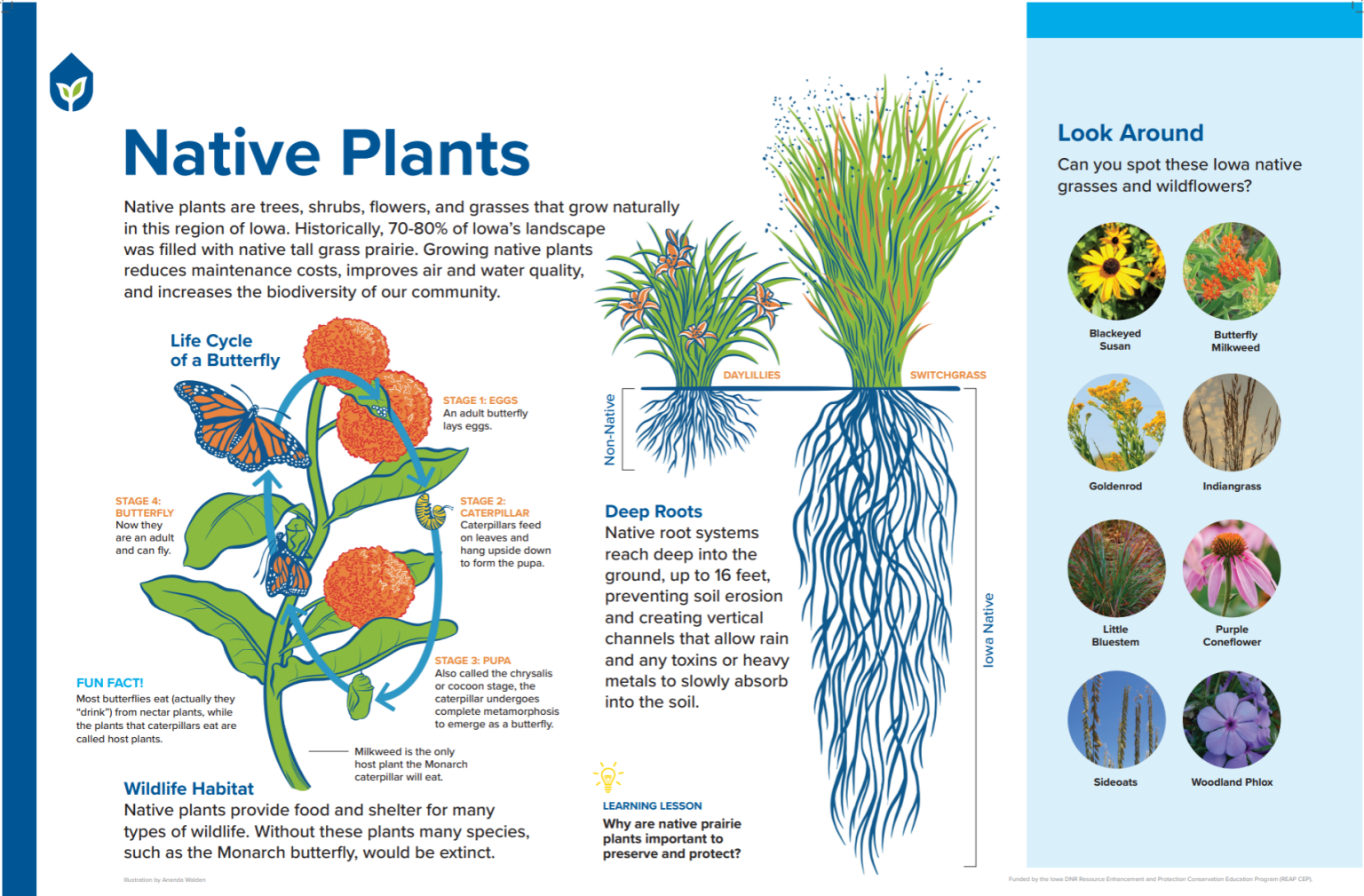 Native Plants – Sprout: The Des Moines Urban Youth Learning Garden at ...