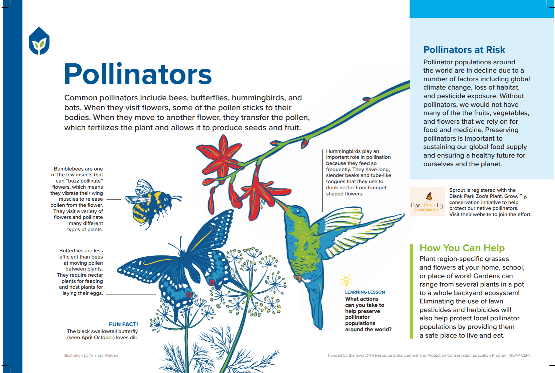 Pollinators – Sprout: The Des Moines Urban Youth Learning Garden at ...