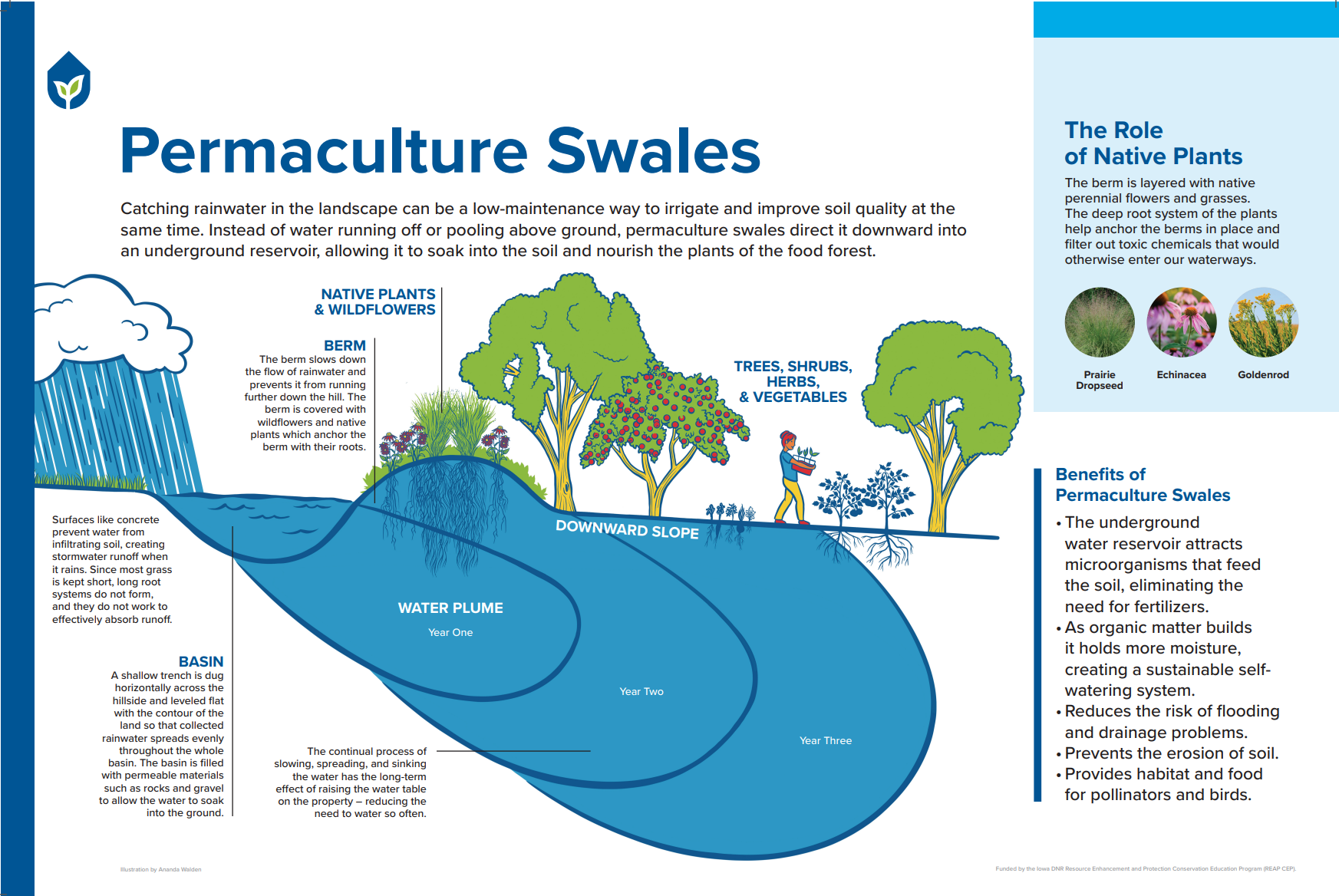 Permaculture Swales – Sprout: The Des Moines Urban Youth Learning ...