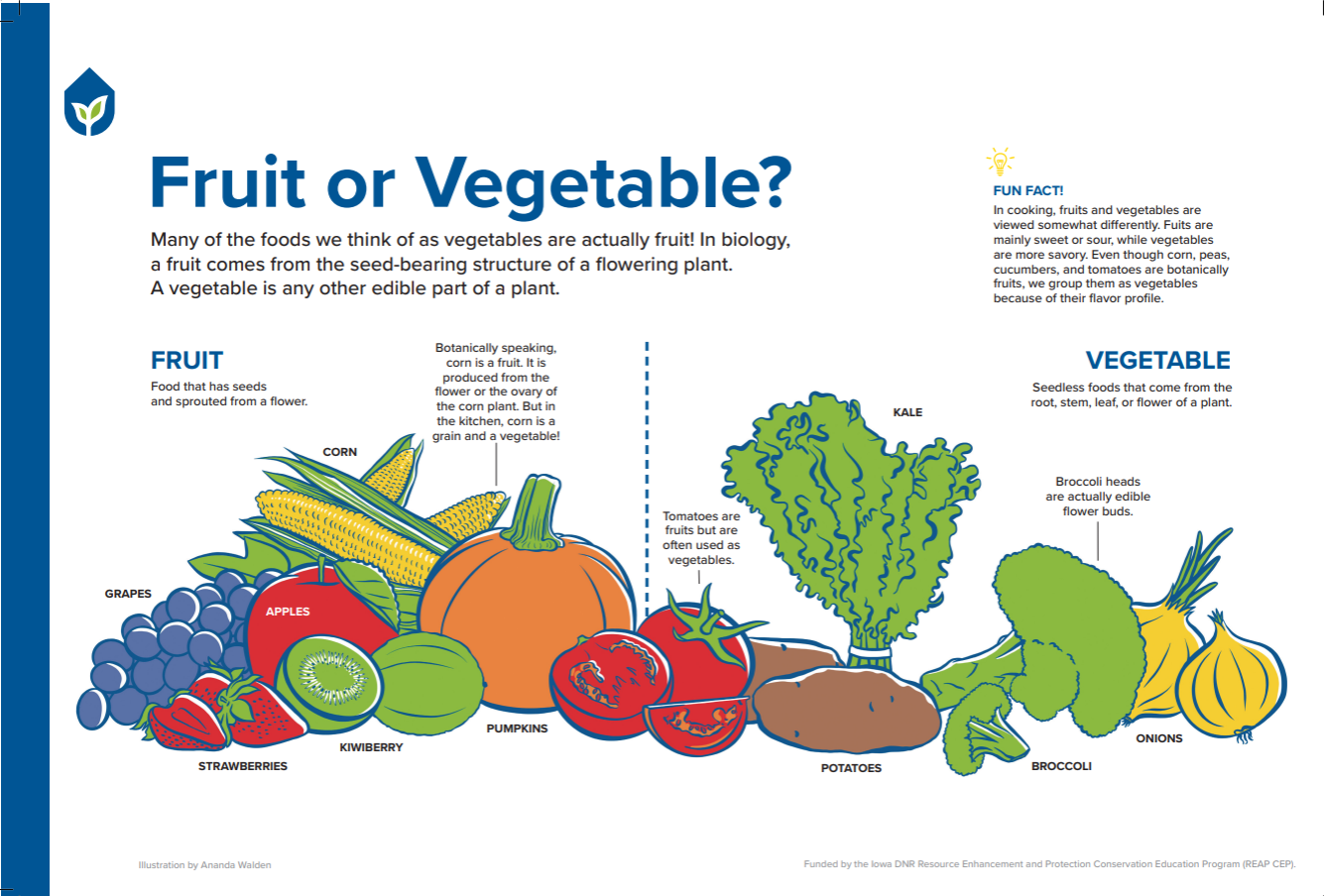 Fruit or Vegetable? – Sprout: The Des Moines Urban Youth Learning ...